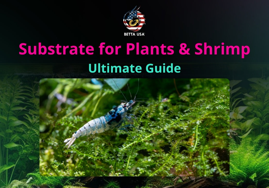 Best Aquarium Substrate for Plants & Shrimp: Ultimate Guide – Betta USA ...