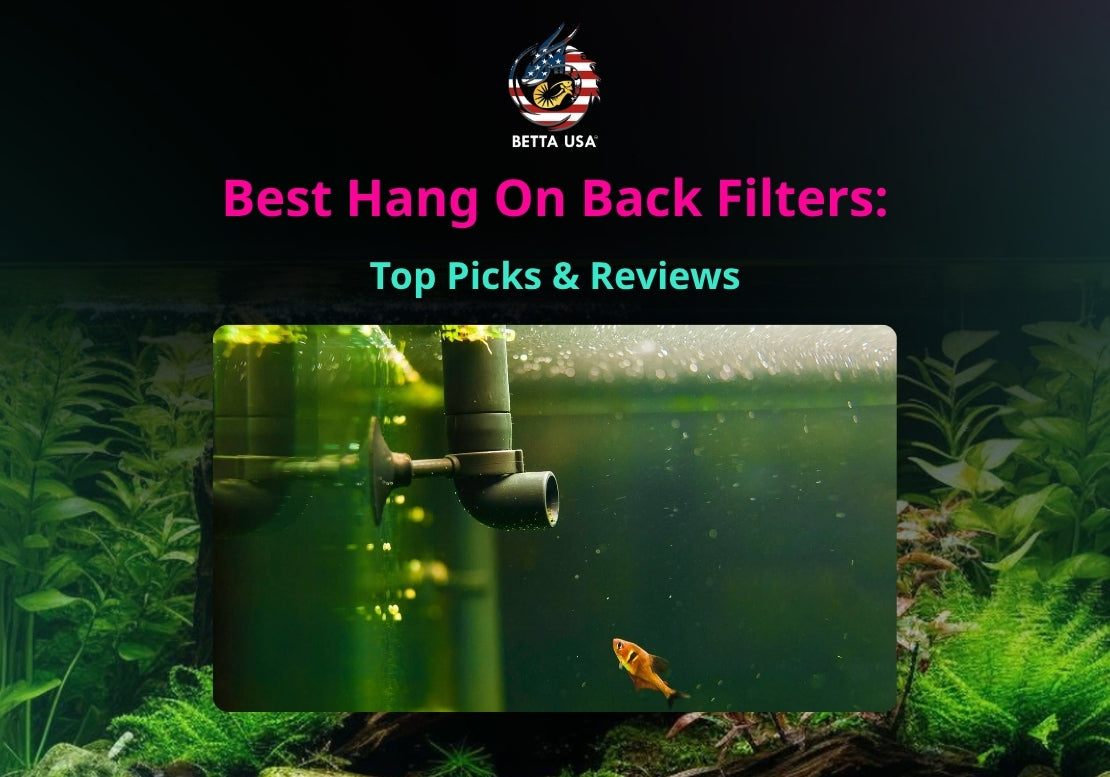 Best Hang On Back Filters: Top Picks & Reviews – Betta USA Aquatic