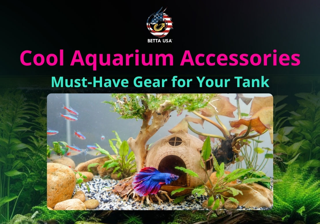 Cool Aquarium Accessories: Must-Have Gear for Your Tank – Betta USA Aquatic