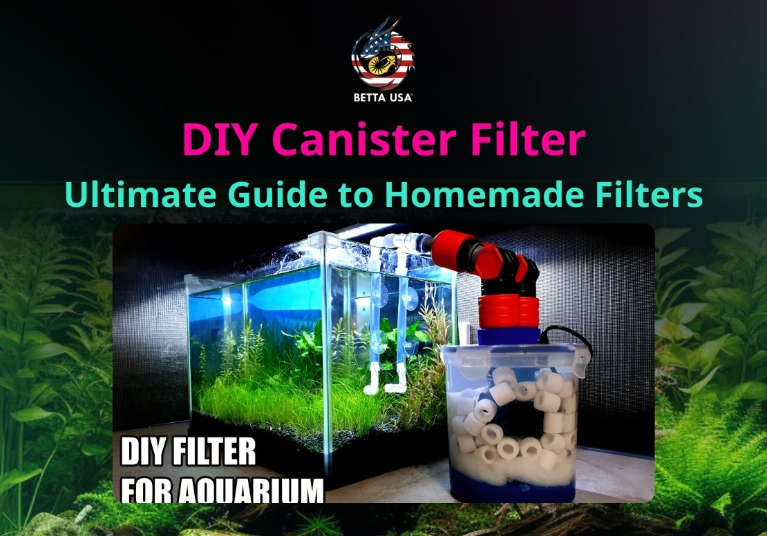 DIY Canister Filter: Ultimate Guide to Homemade Filters – Betta USA Aquatic
