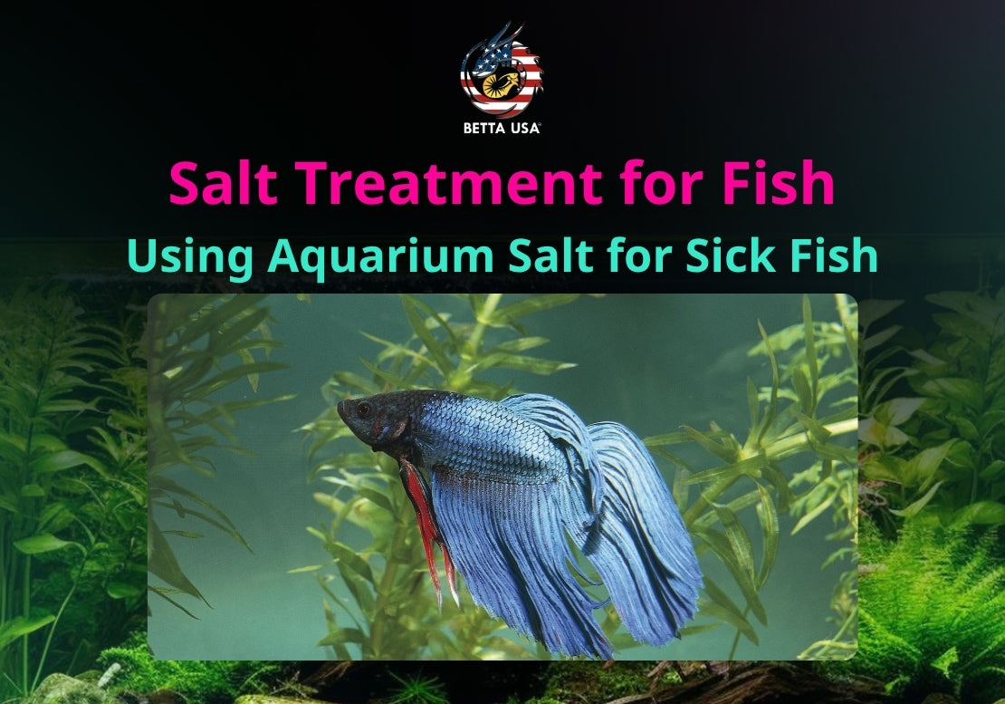 Salt Treatment for Fish: Using Aquarium Salt for Sick Fish – Betta USA ...