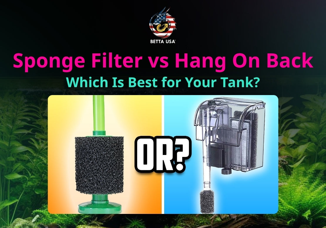 Sponge Filter vs Hang On Back: Which Is Best for Your Tank? – Betta USA ...
