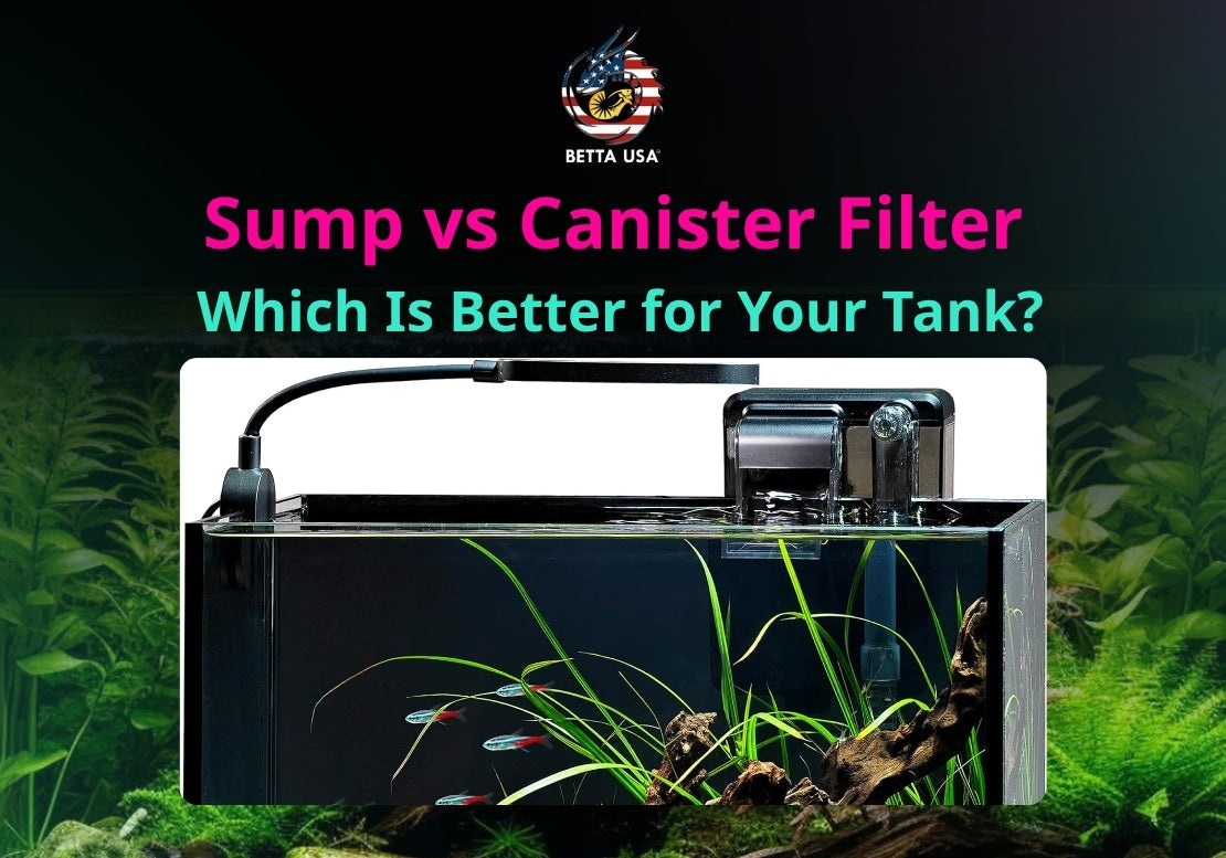 Sump vs Canister Filter: Which Is Better for Your Tank? – Betta USA Aquatic