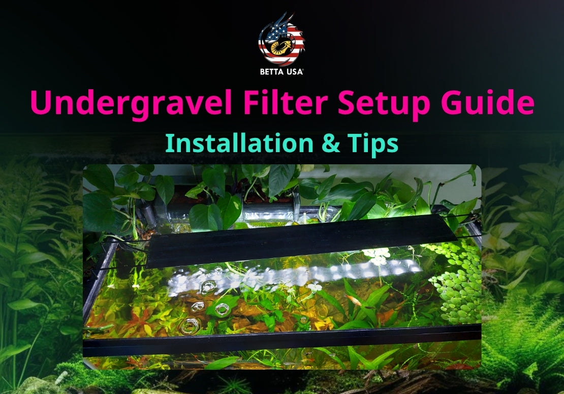 Undergravel Filter Setup Guide: Installation & Tips – Betta USA Aquatic