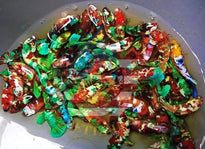 Shop Premium Live Betta Fish for Sale | Betta USA Aquatic